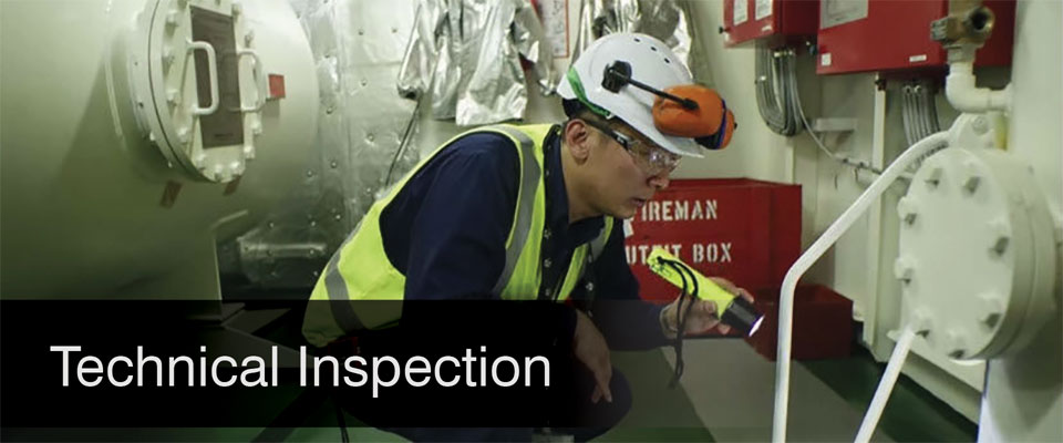 Technical inspection – swemol